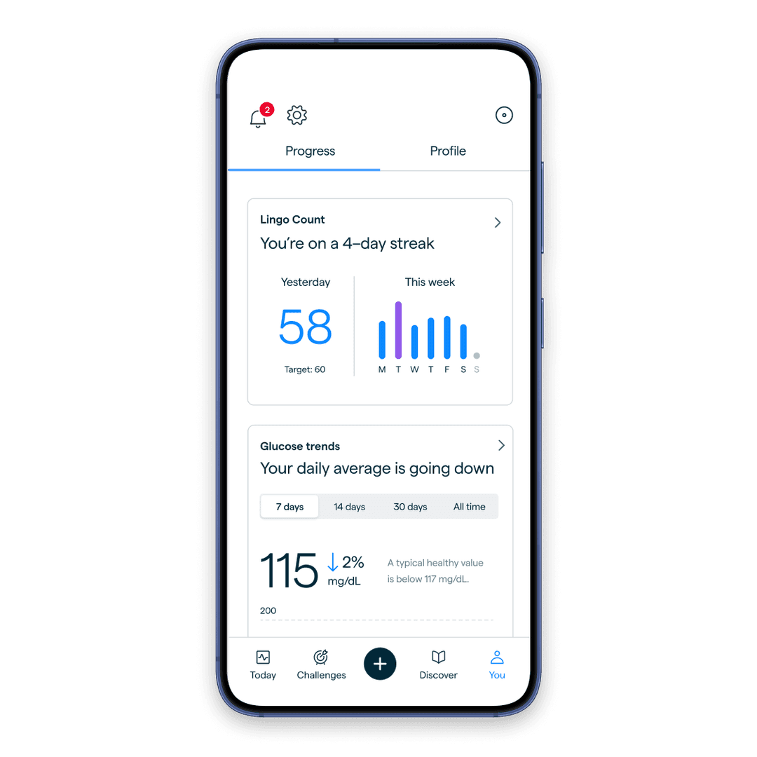 What is Lingo Count? | Lingo