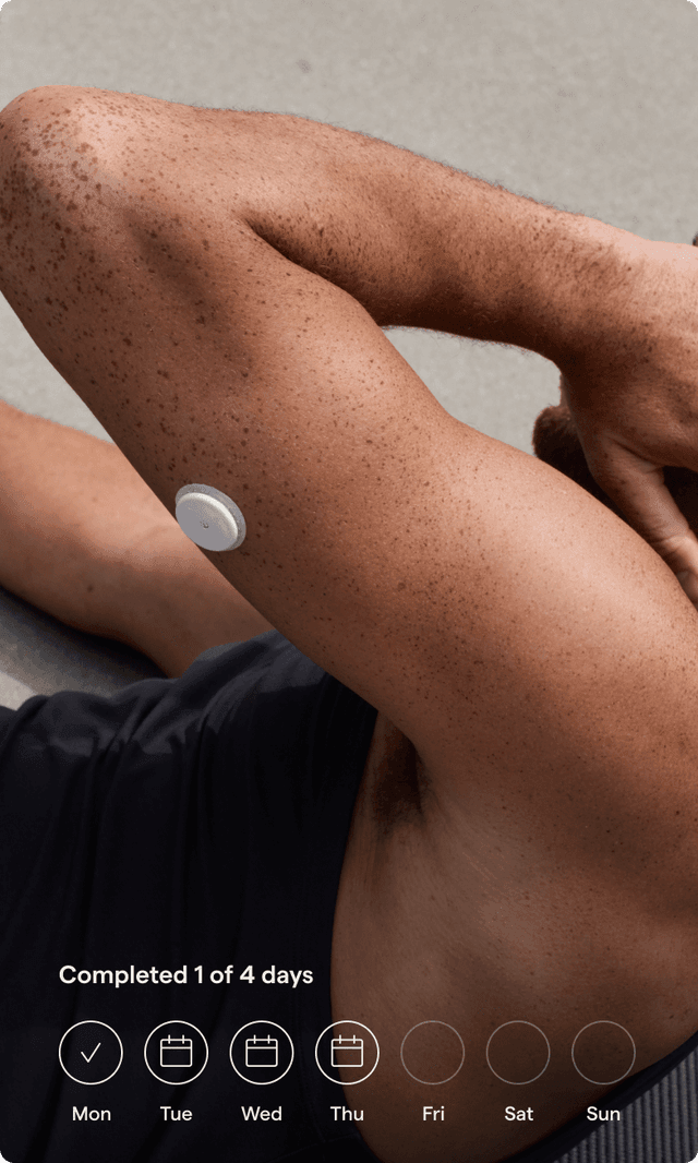 The Lingo Experience | Lingo