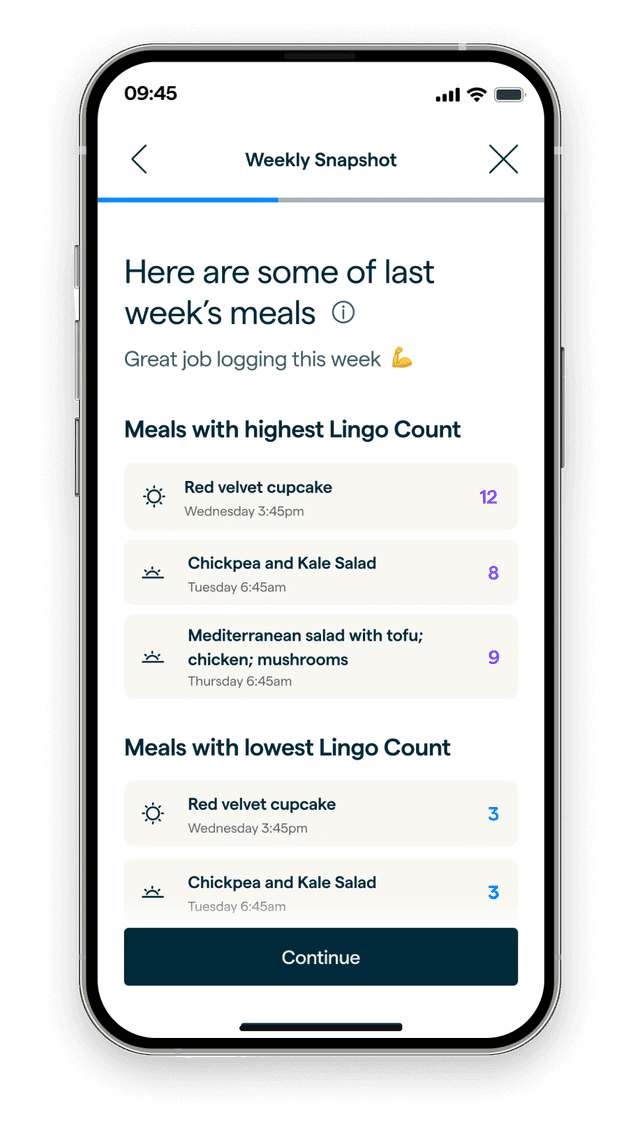 The Lingo Experience | Lingo
