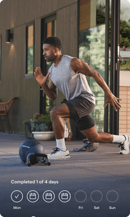 The Experience — How Lingo Works | Lingo by Abbott