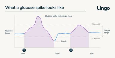What is a glucose spike? Causes and management | Lingo